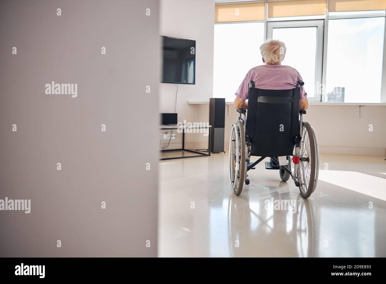 Disabled person in the wheelchair gazing through the window Stock Photo ...