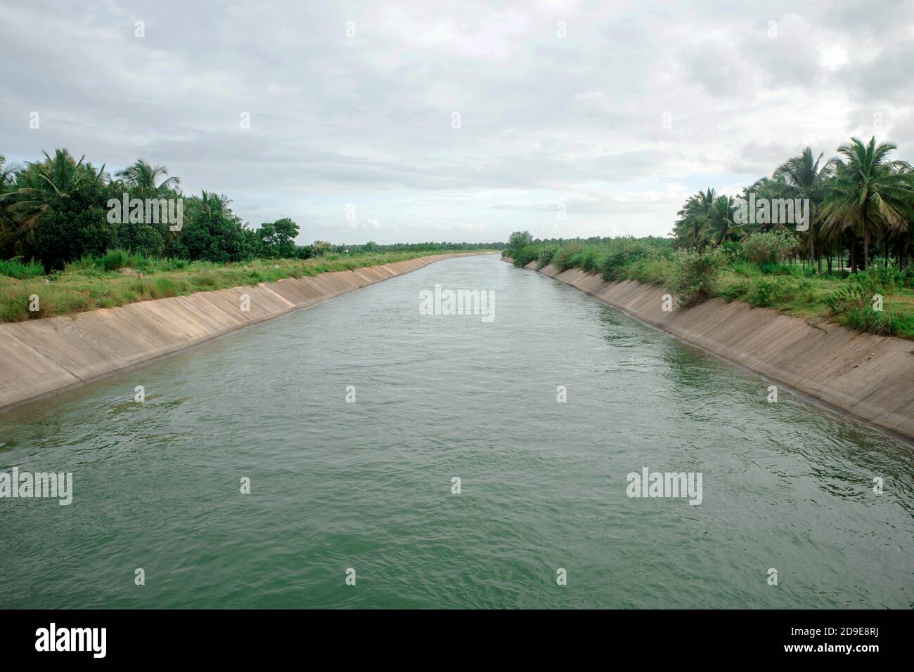 water supply channel through coconut farm Stock Photo - Alamy