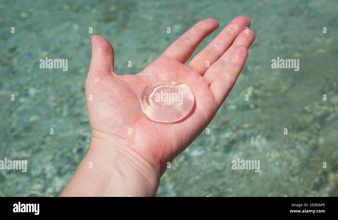 Round jellyfish on the palm of the hand against the background of sea ...