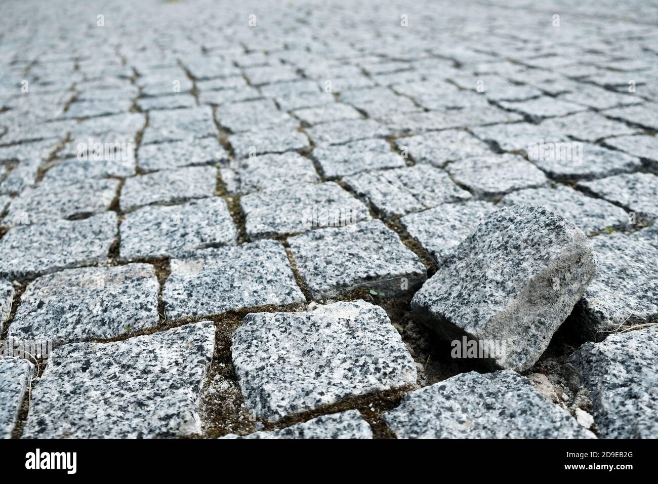 Single cobble out of the structure on a cobblestone street in an old ...