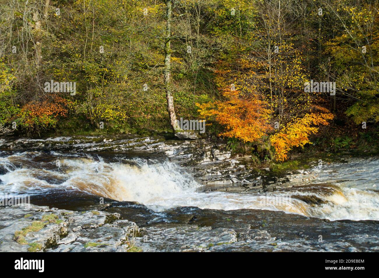 Upper Reaches of The River Ribble at Stainforth, North Yorkshire ...