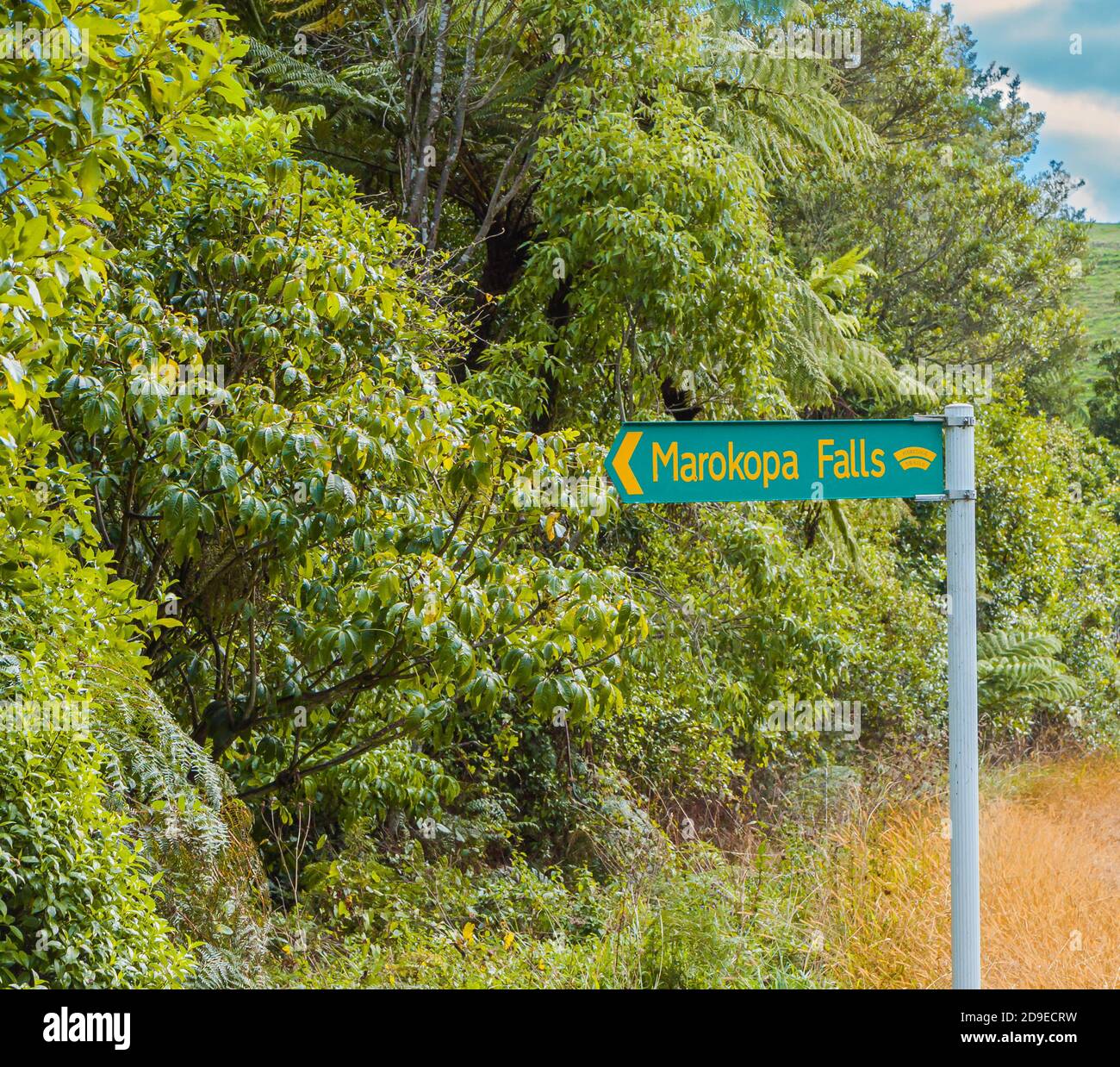 Road Sign to Marokopa Falls, North Island, New Zealand Stock Photo - Alamy