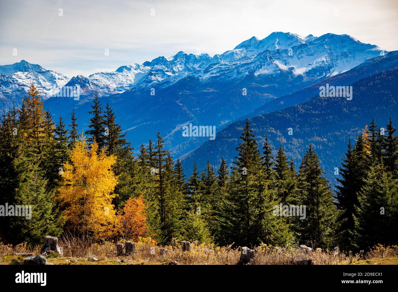 Autumn colours of the forests and mountains in the Swiss Alps of Valais ...
