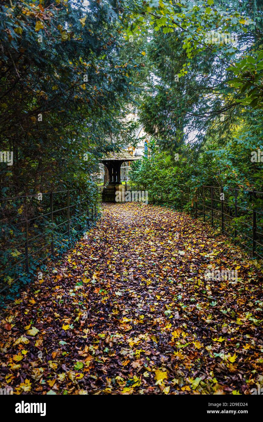 Leaf covered entrance to St Peters Church, Daylesford, Gloucestershire ...