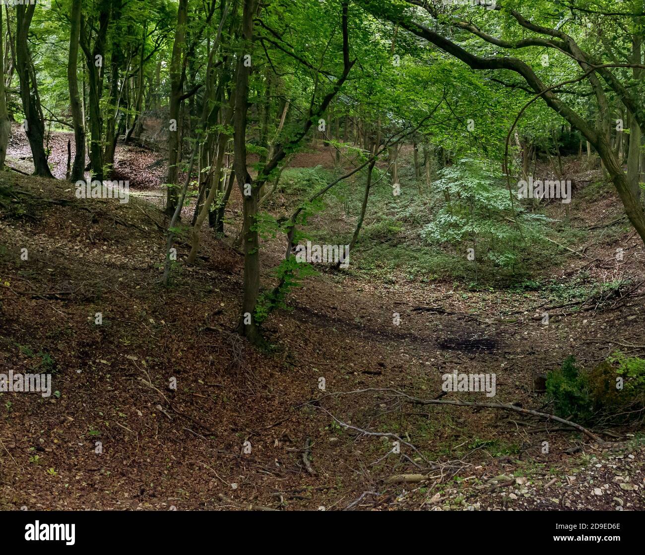 Standish woods hi-res stock photography and images - Alamy