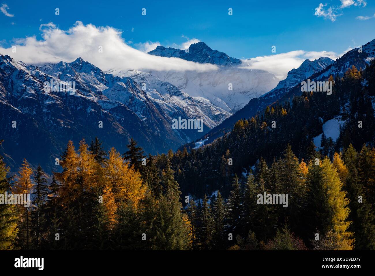 Autumn colours of the forests and mountains in the Swiss Alps of Valais ...
