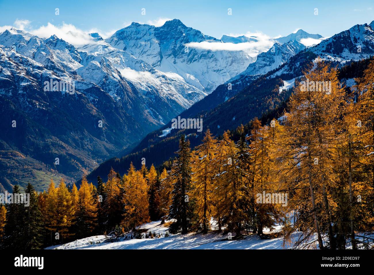 Autumn colours of the forests and mountains in the Swiss Alps of Valais ...