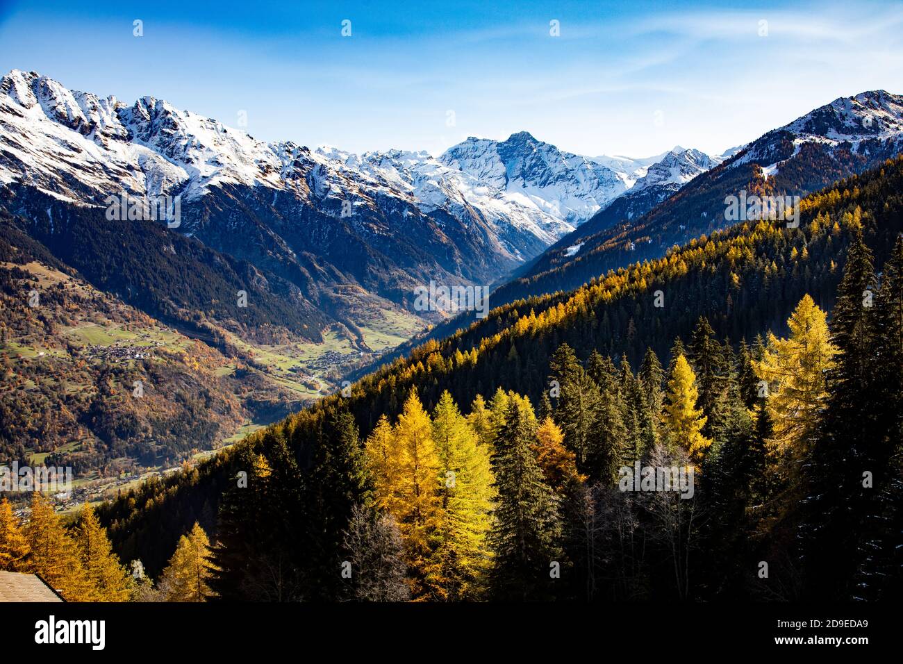 Autumn colours of the forests and mountains in the Swiss Alps of Valais ...