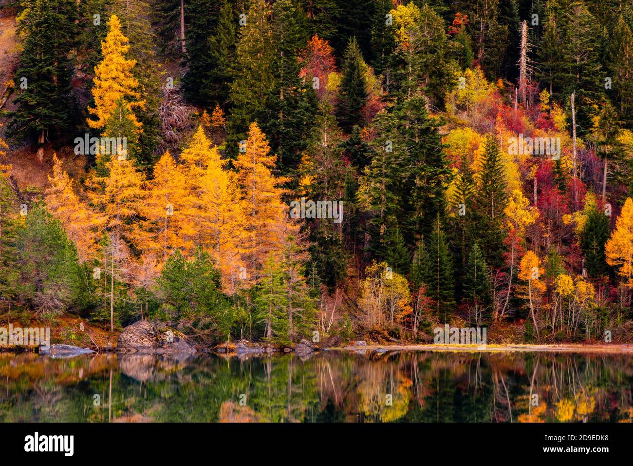 Autumn colours and reflections in a mountain lake Stock Photo - Alamy