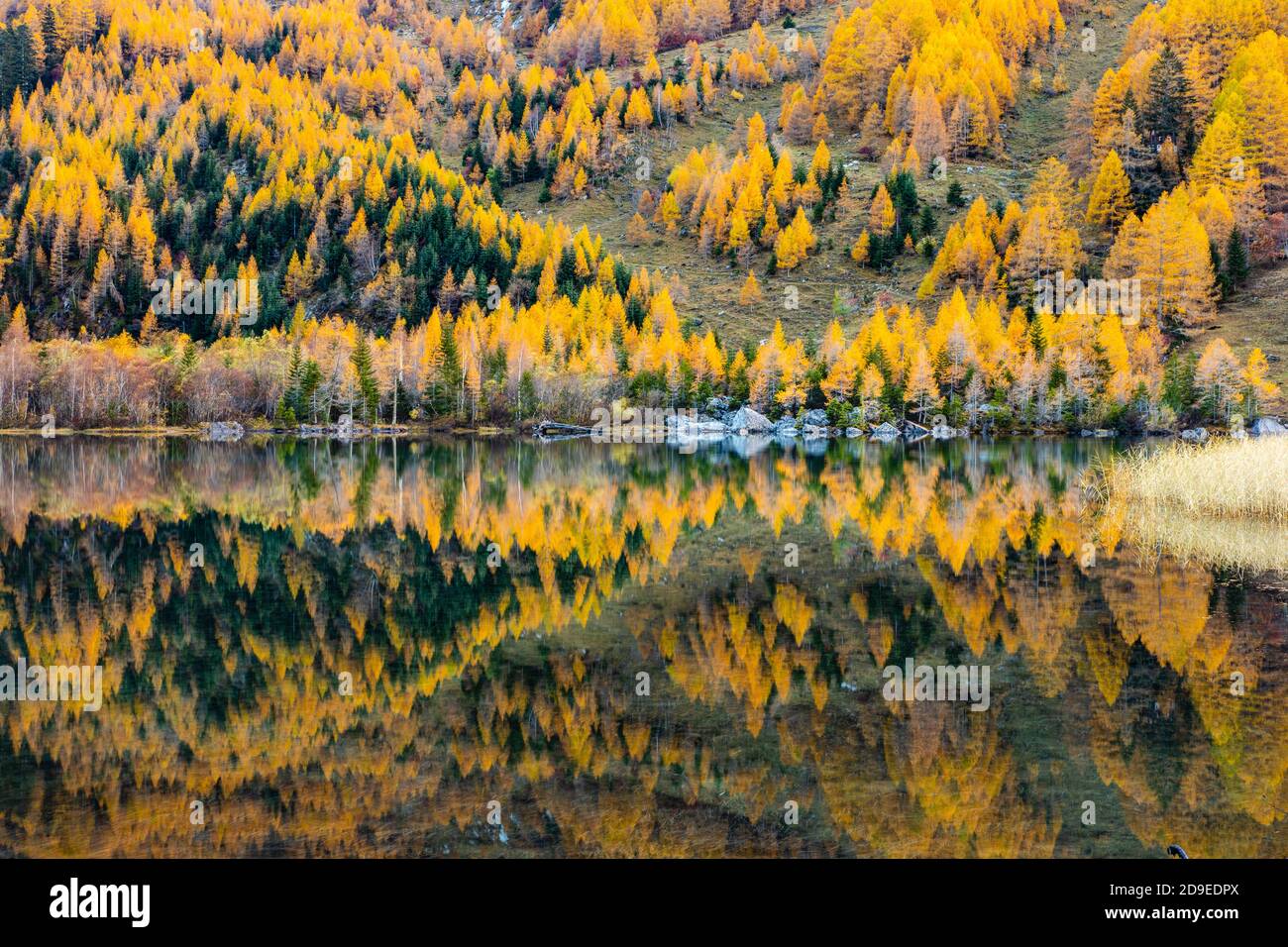 Autumn colours and reflections in a mountain lake Stock Photo - Alamy
