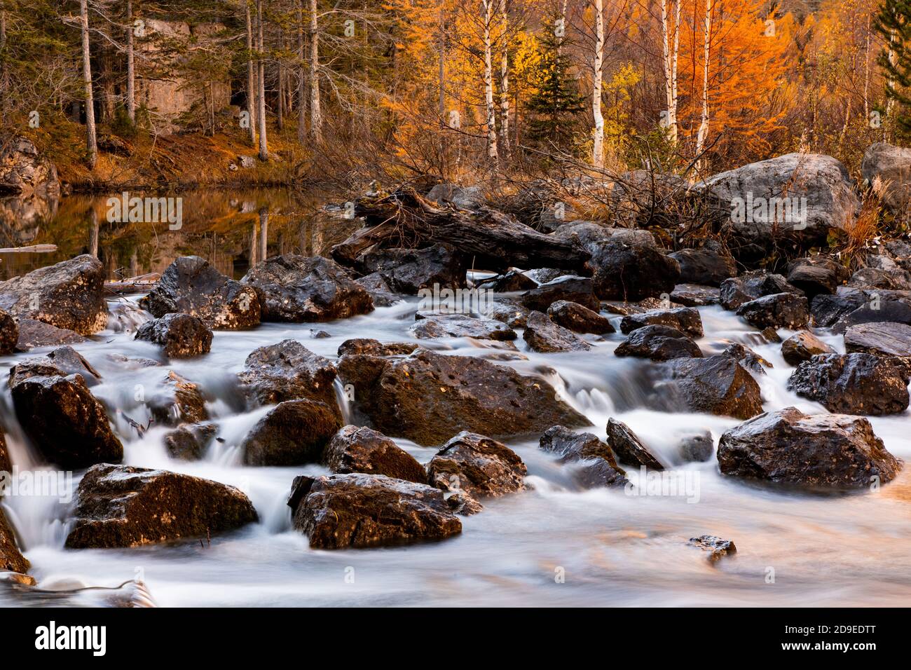 Autumn colours and reflections in a mountain lake Stock Photo - Alamy