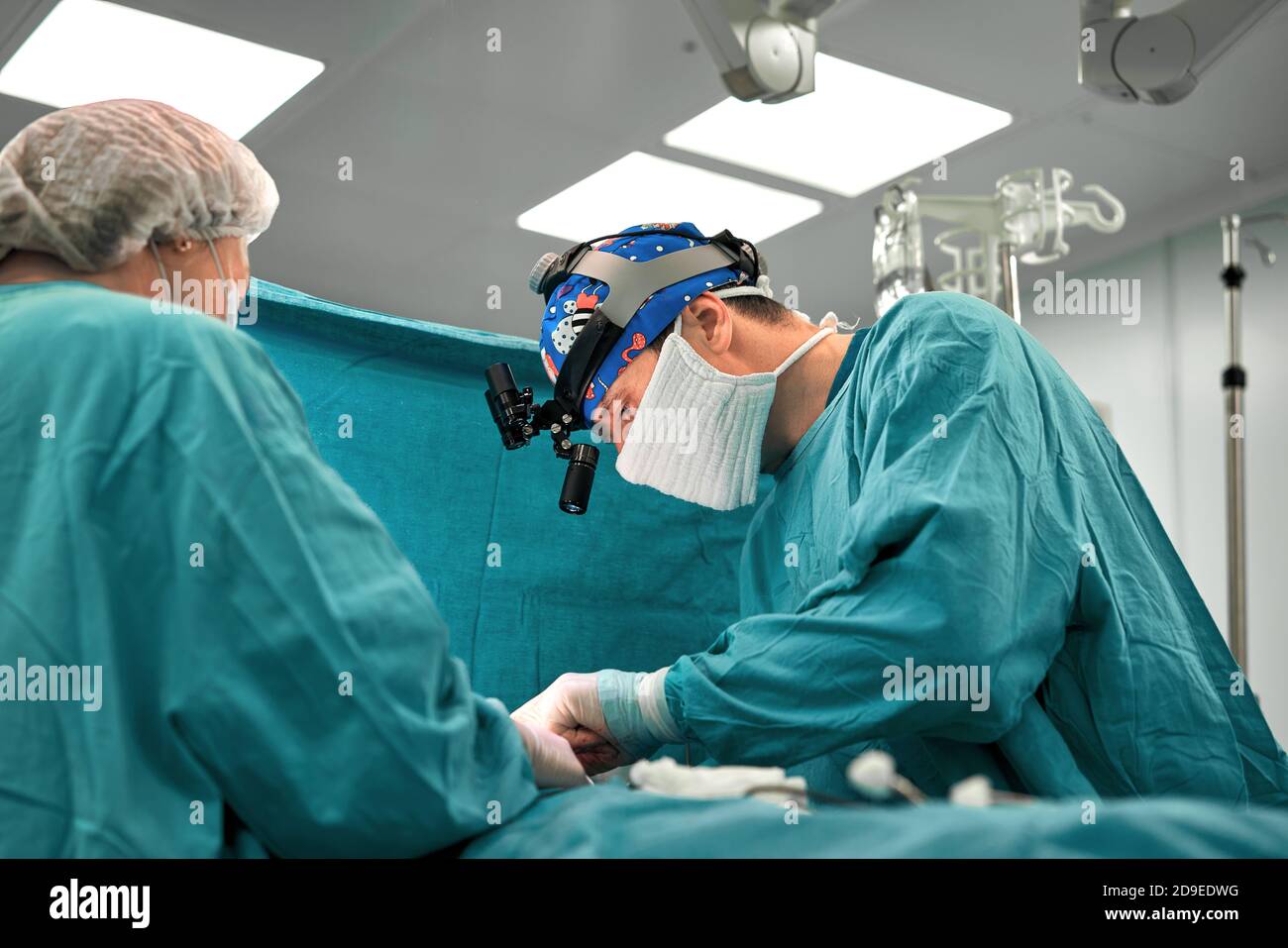 Surgeon and his assistant performing cosmetic surgery on nose in ...