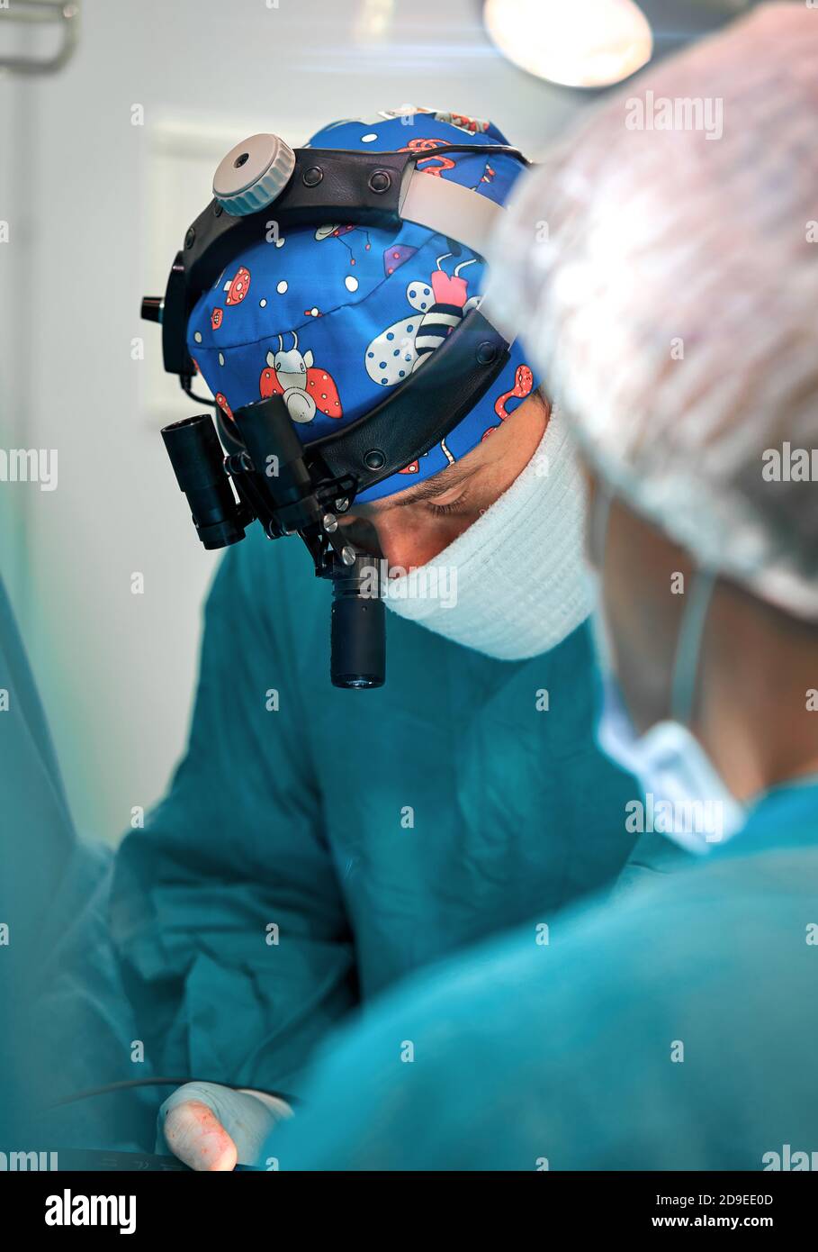 Surgeon and his assistant performing cosmetic surgery on nose in ...