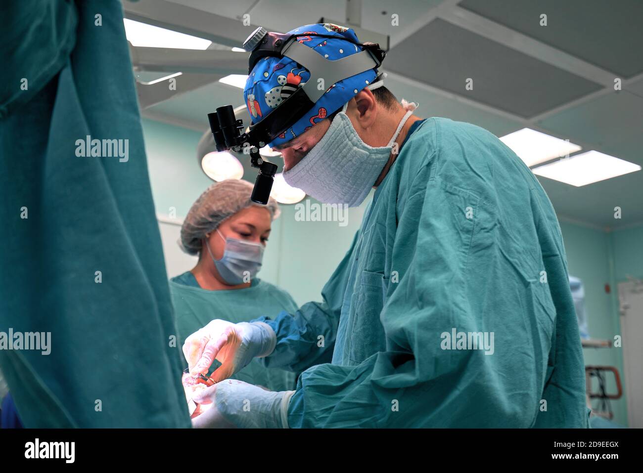 Surgeon and his assistant performing cosmetic surgery on nose in ...
