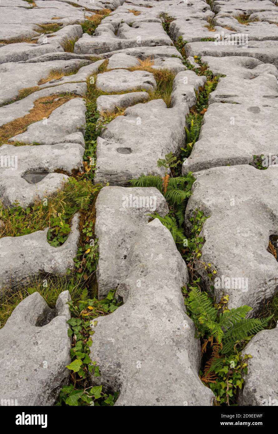 Limestone pavement the burren hi-res stock photography and images - Alamy