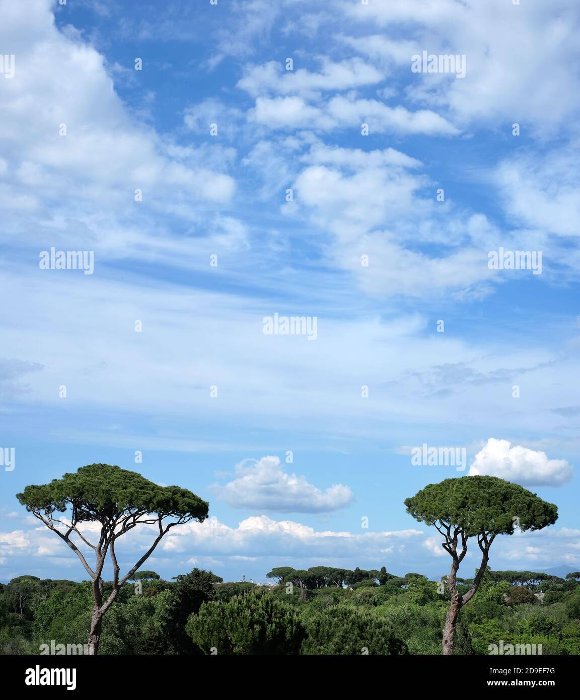 Beautiful vertical landscape view hi-res stock photography and images ...