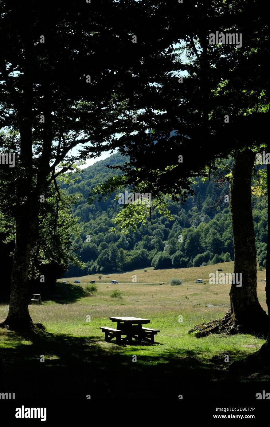 Picnic table in the forest hi-res stock photography and images - Alamy