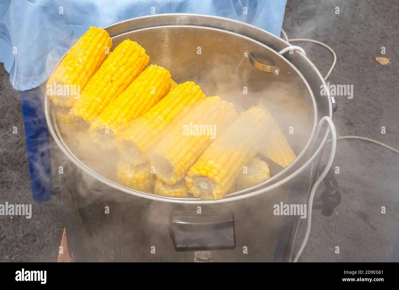 Steamed corn in a cooking saucepan, street food. Boiled the corns with ...