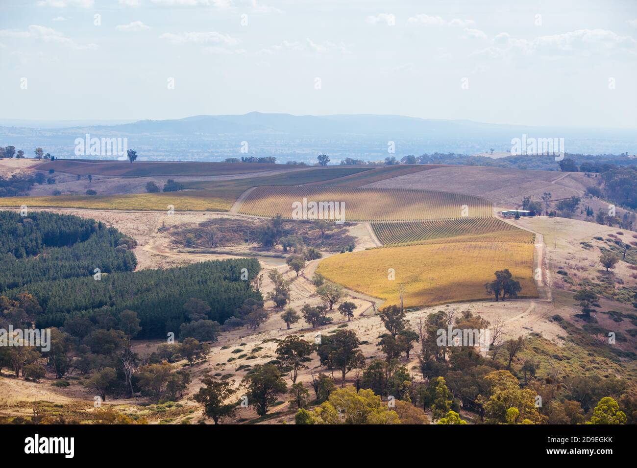 King valley australia vineyard hi-res stock photography and images - Alamy