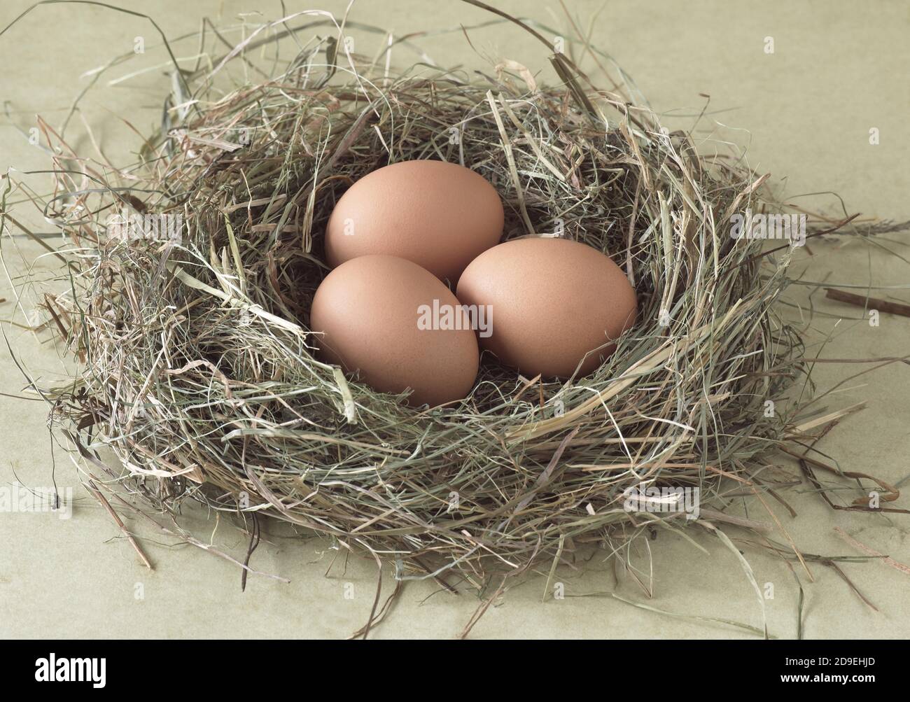EGGS IN NEST Stock Photo - Alamy