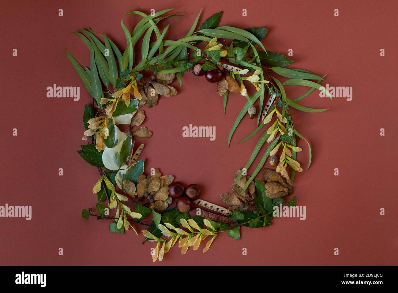 Creative natural hi-res stock photography and images - Alamy