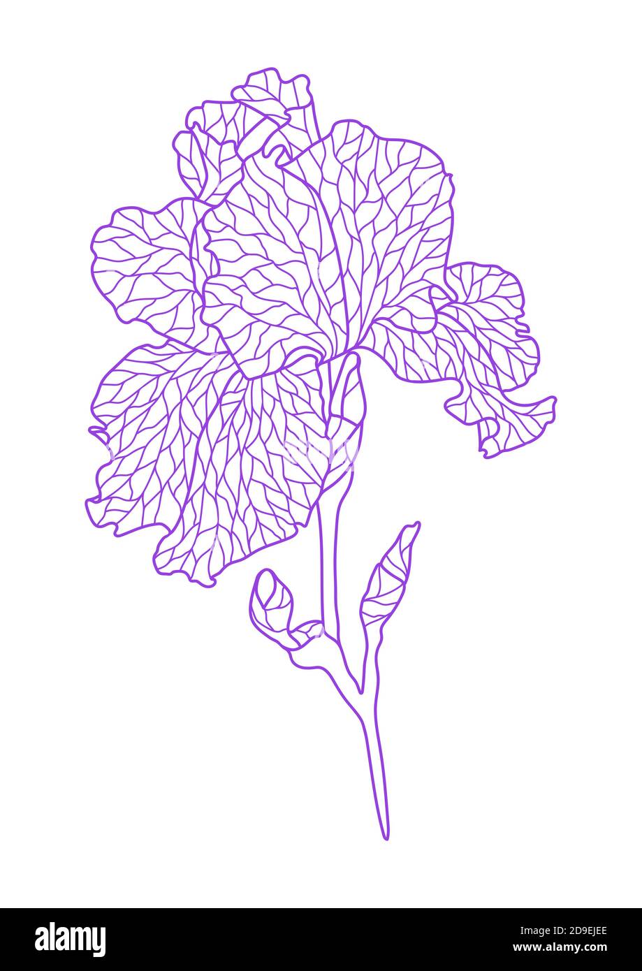 Violet head Stock Vector Images - Alamy