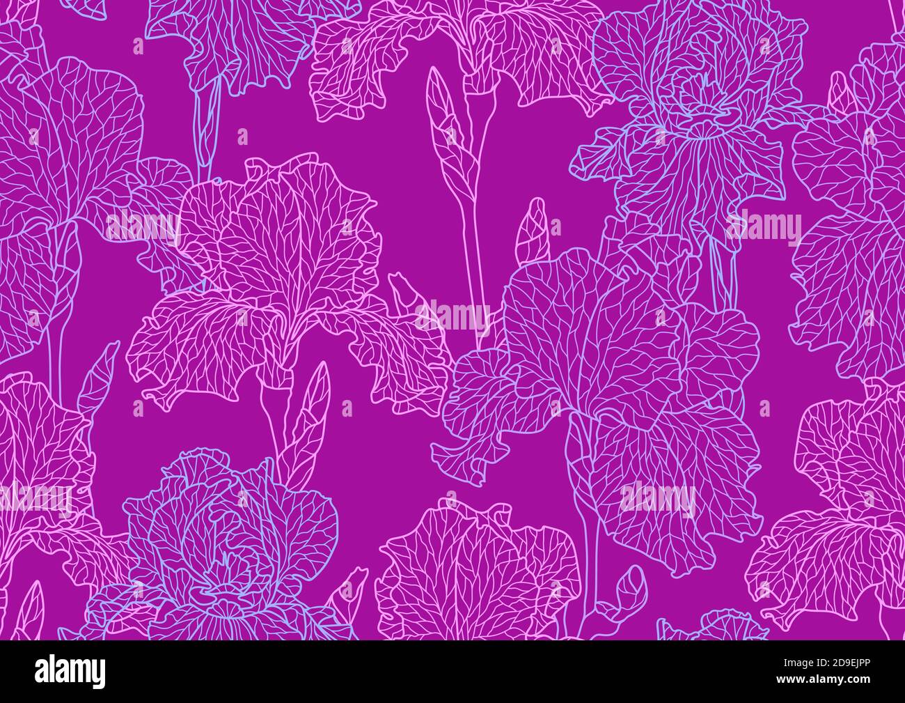 Violet purple irises Stock Vector Images - Alamy