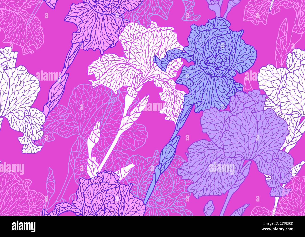 Violet purple irises Stock Vector Images - Alamy