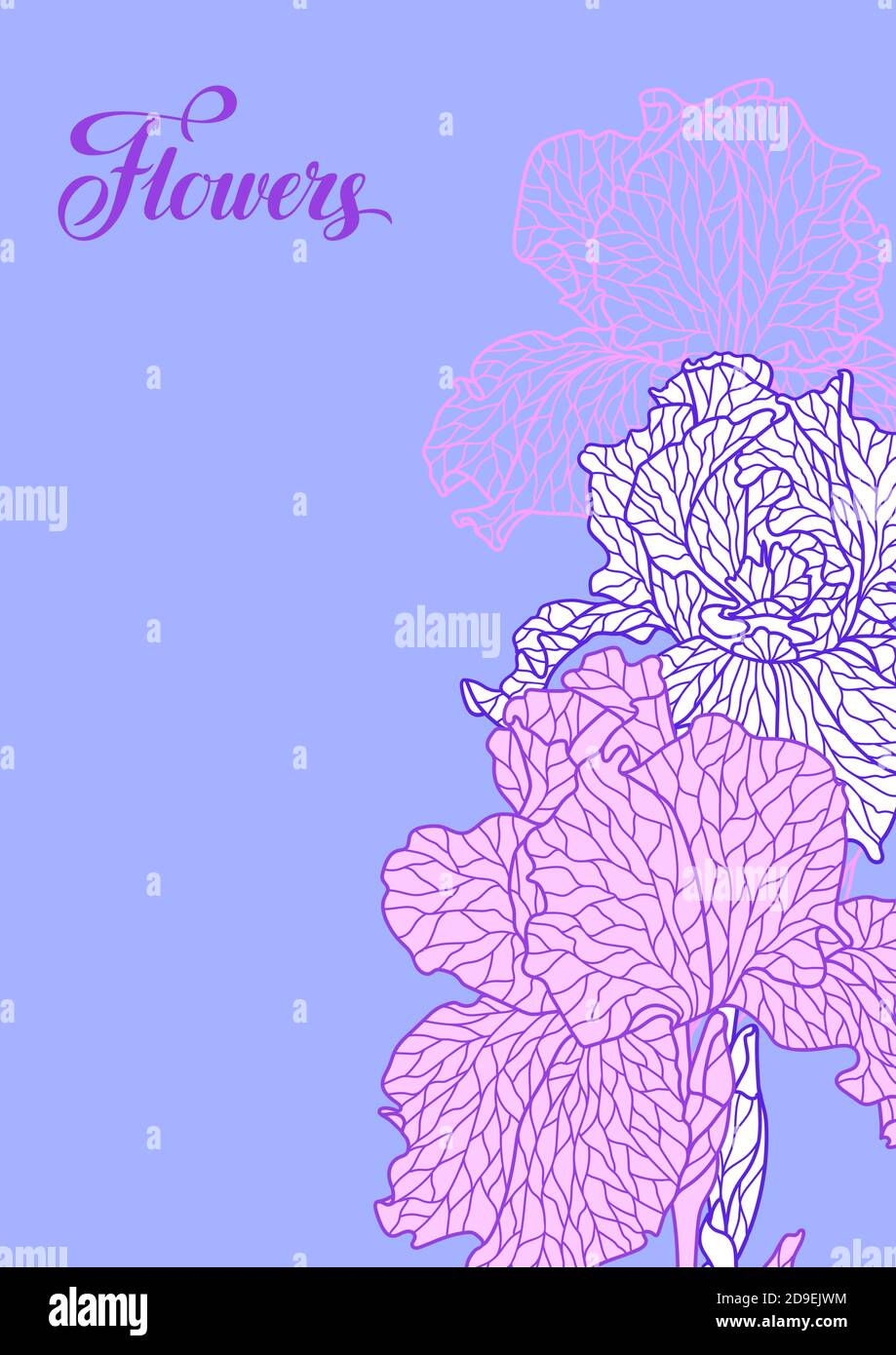 Violet purple irises Stock Vector Images - Alamy