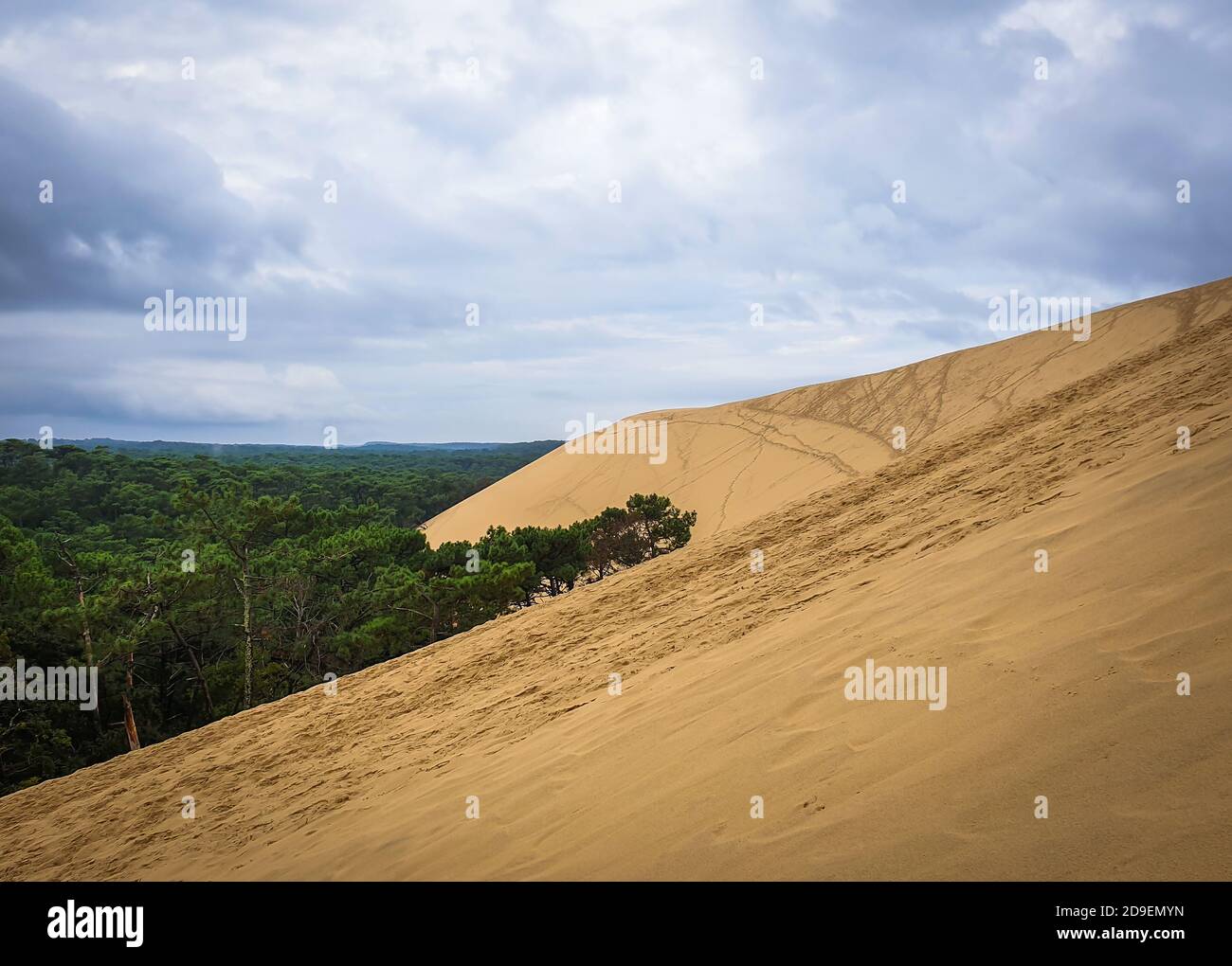 Pilat hi-res stock photography and images - Alamy
