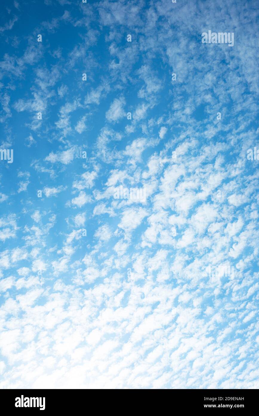 Vertical background of blue sky and cirrus cumulus clouds. Beautiful ...