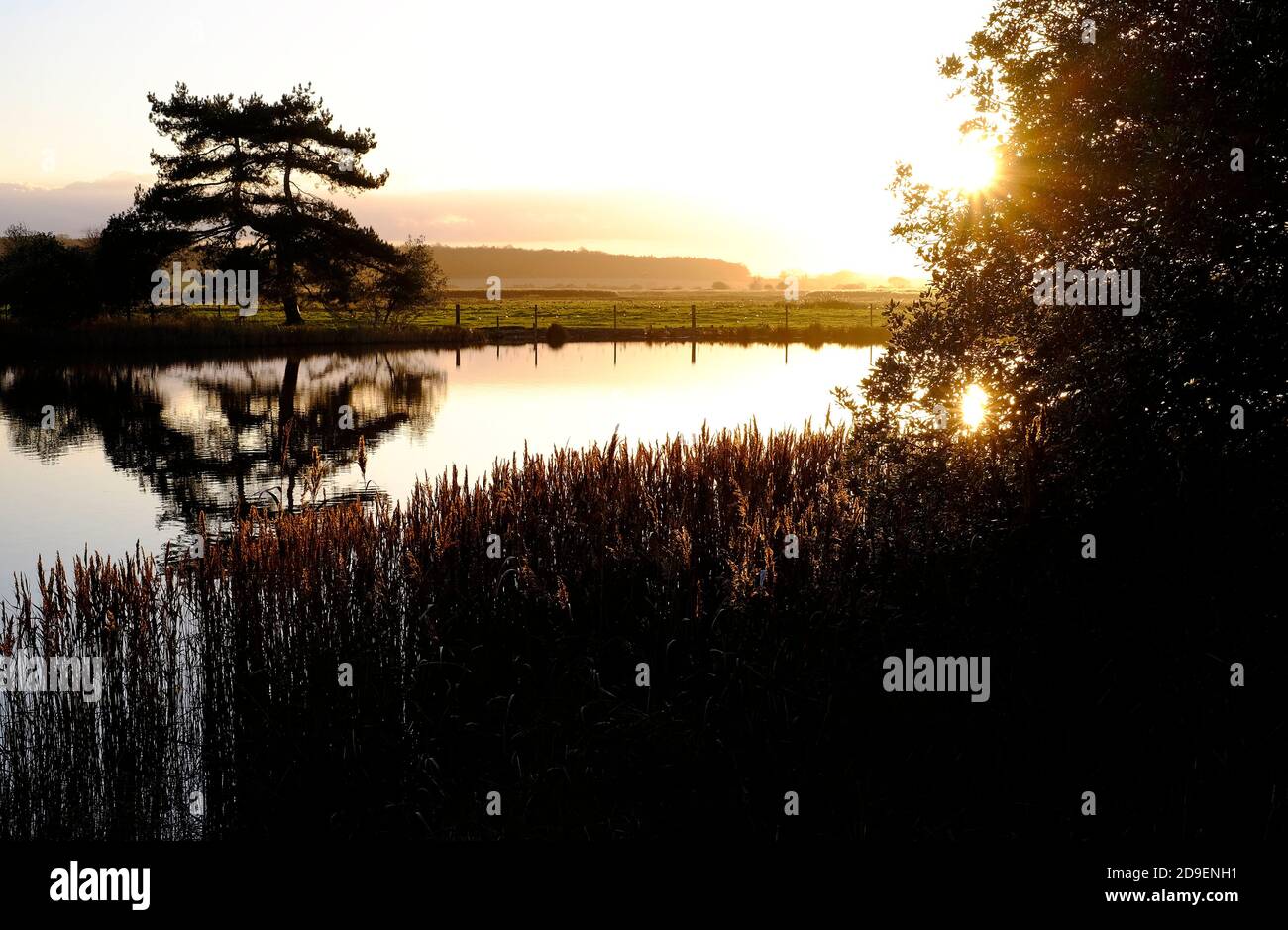 sunset at holkham estate nature reserve pond, north norfolk, england ...