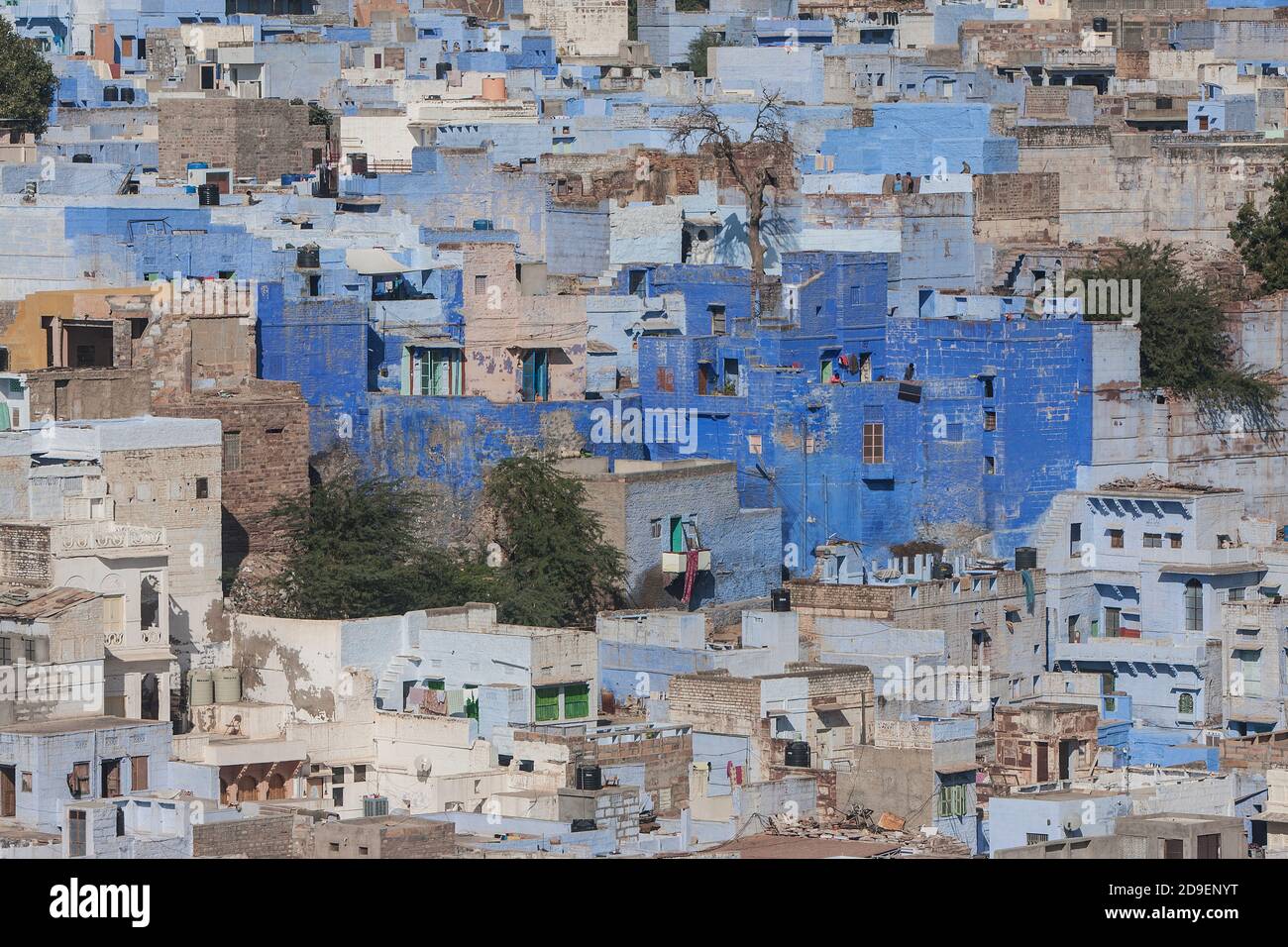 Jodhpur, Rajasthan, India, Asia Stock Photo - Alamy