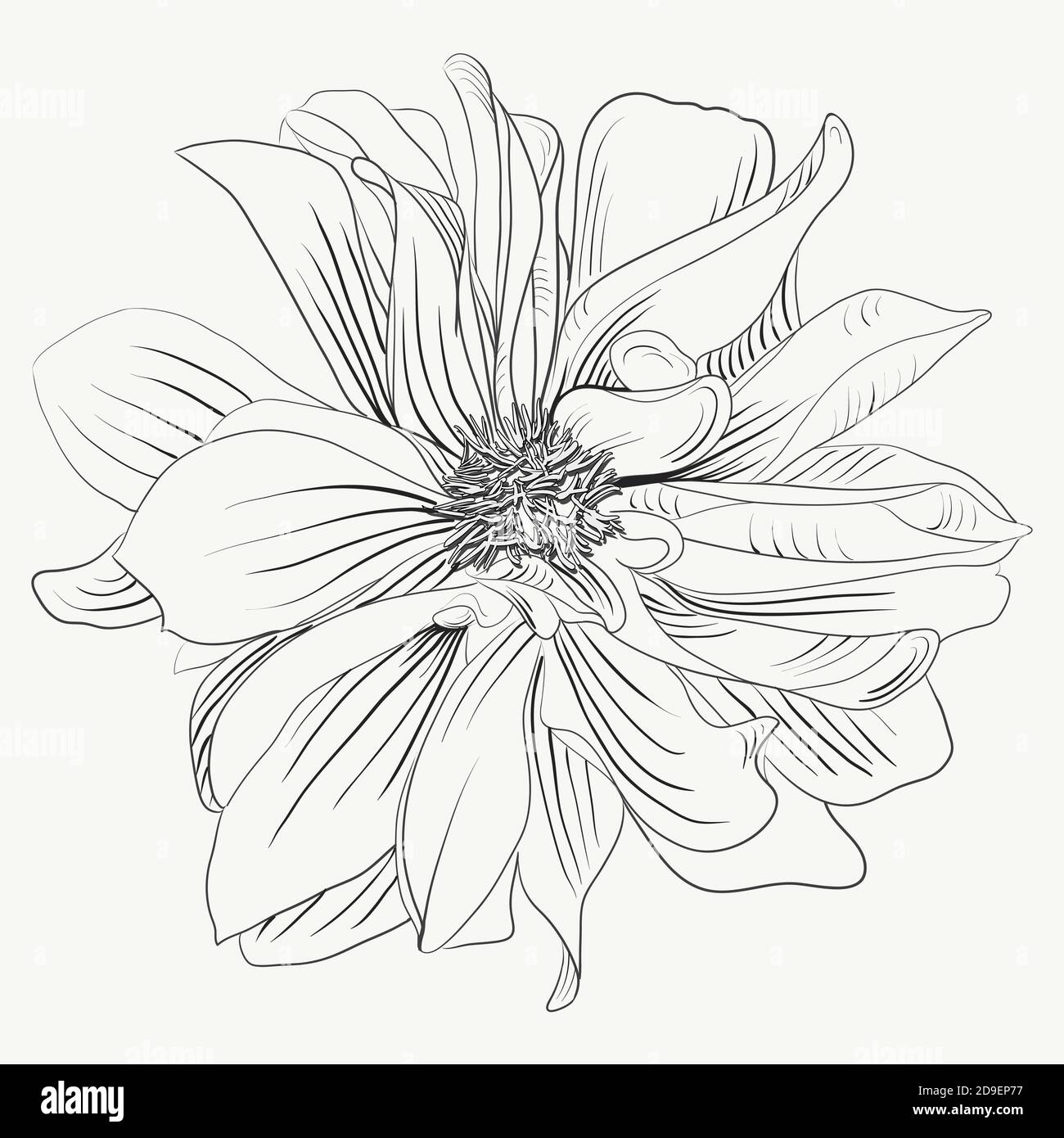 Realistic flower Stock Vector Images - Alamy