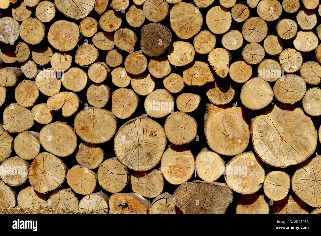 Tree trunks stacked up Stock Photo - Alamy