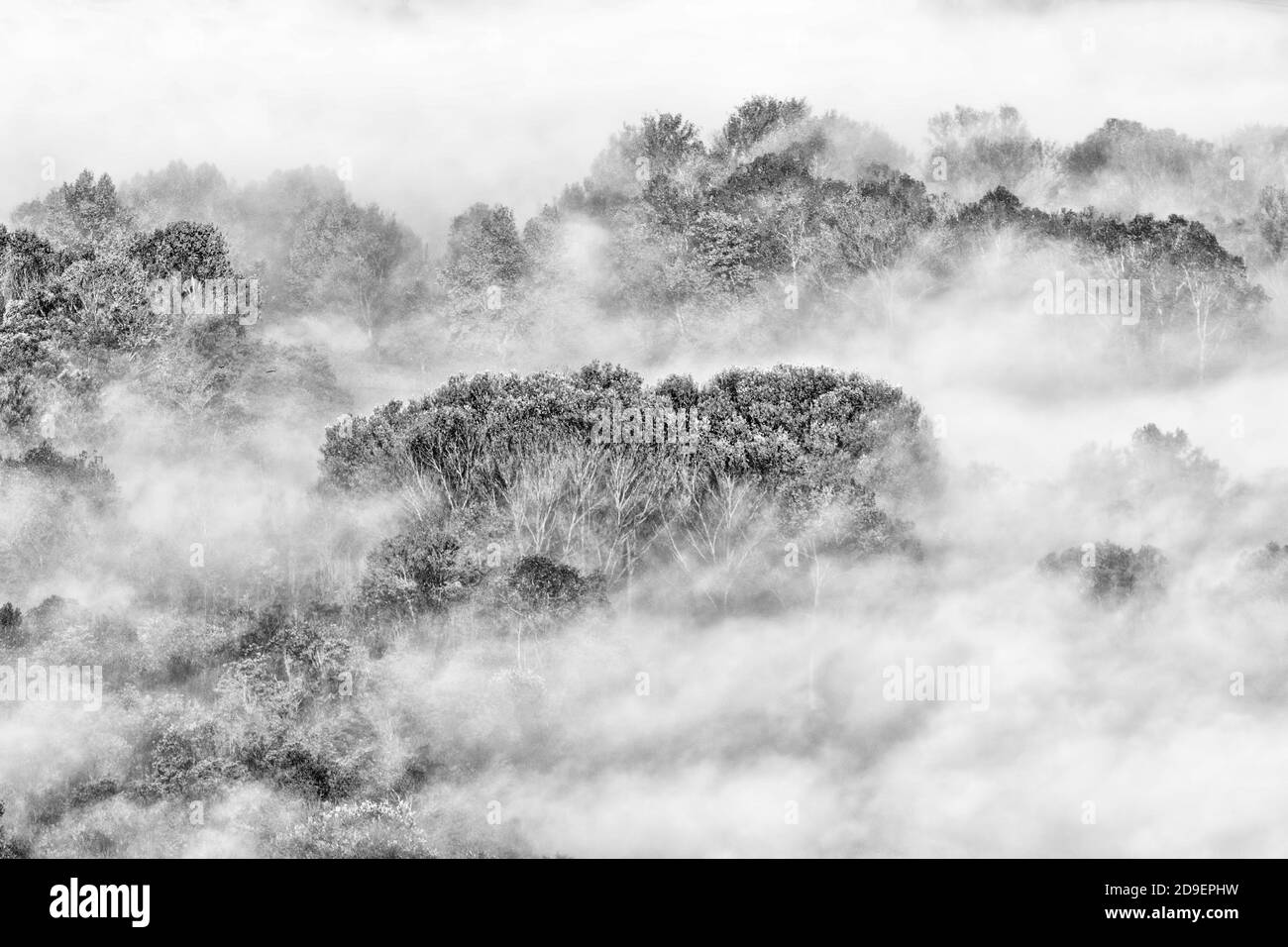 Misty morning landscape, black and white photography Stock Photo - Alamy