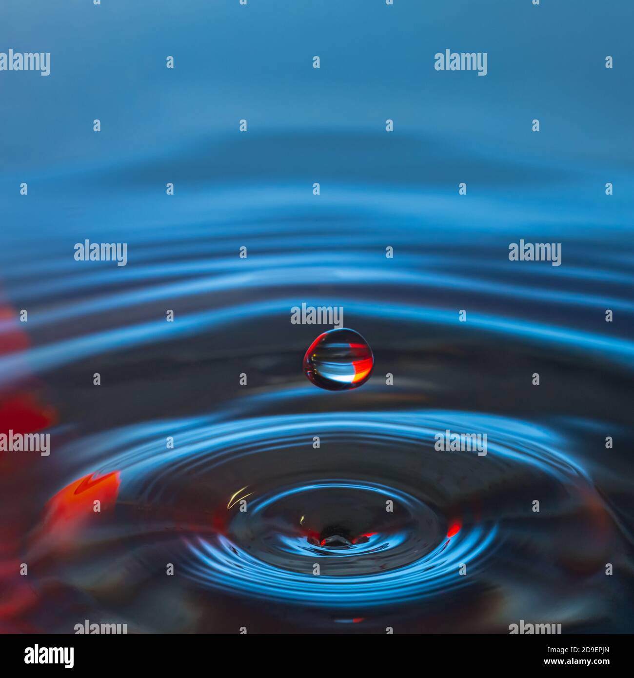 Water drop, close up shot of water drop Stock Photo - Alamy