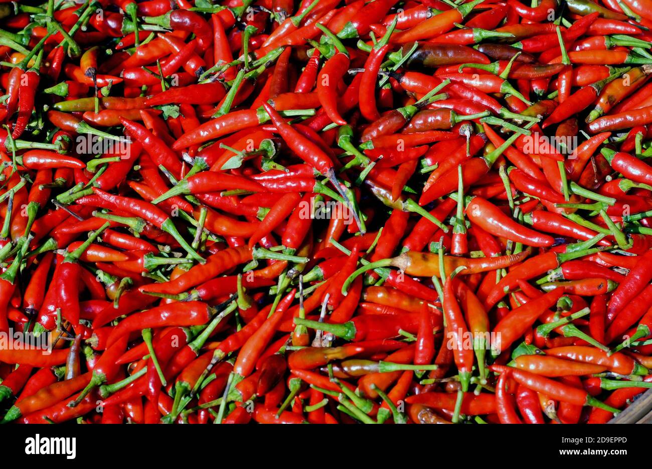 Red hot chili pepper at the street market in Bali Stock Photo - Alamy