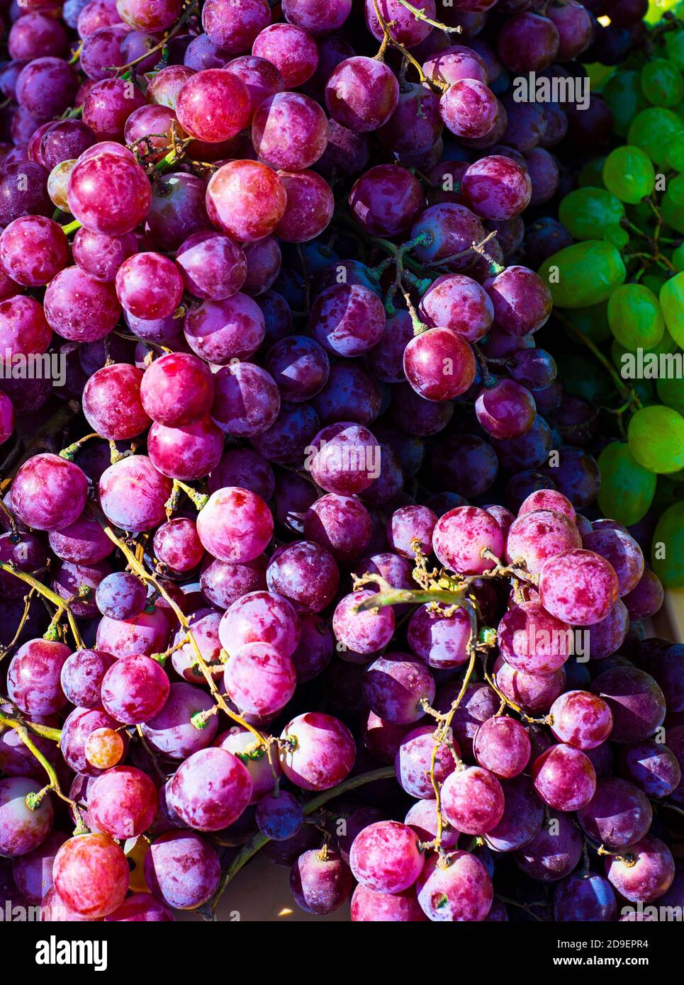 Grapes texture hi-res stock photography and images - Alamy
