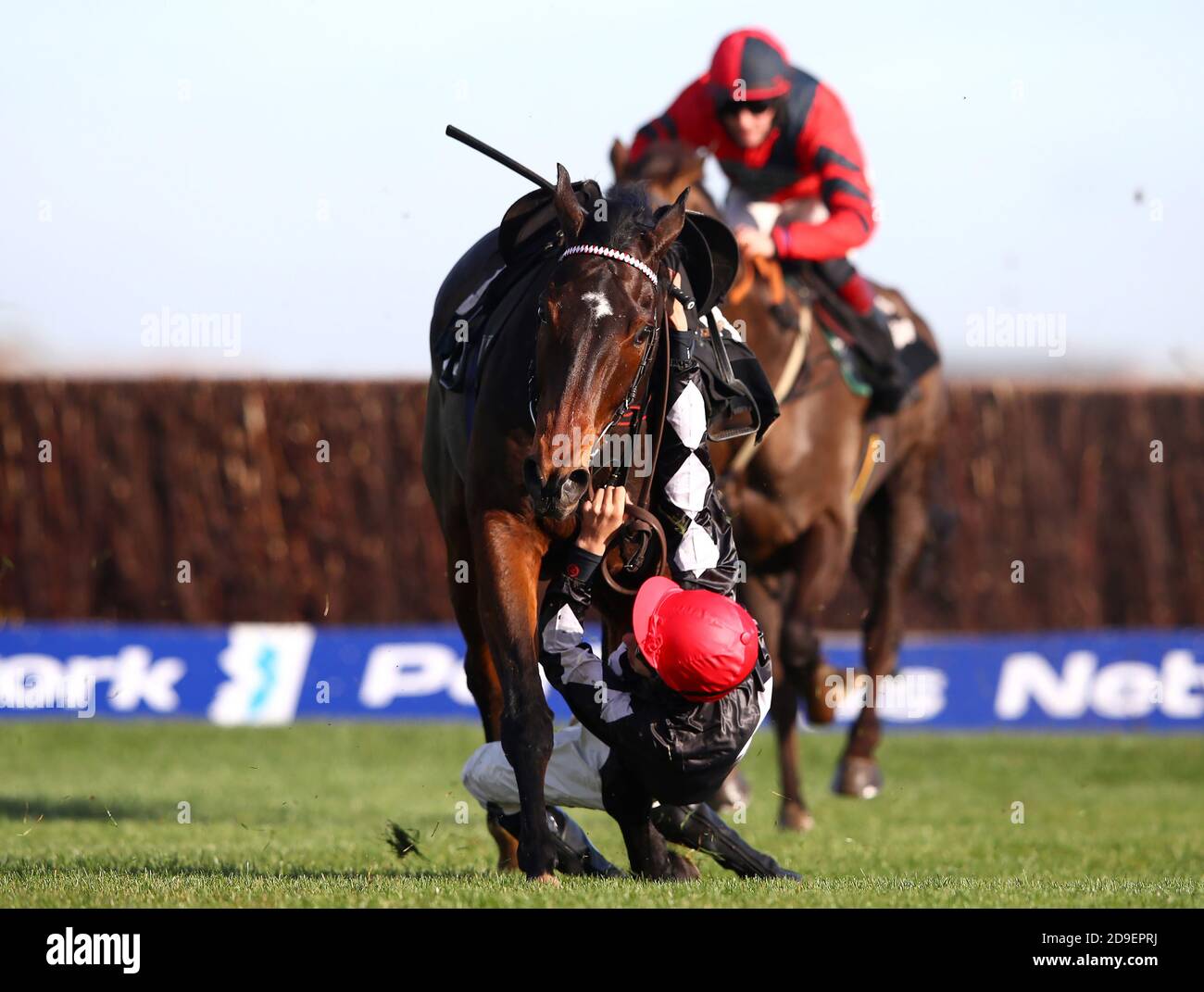 Chester Williams is dismounted from One For The Team in the Pertemps ...