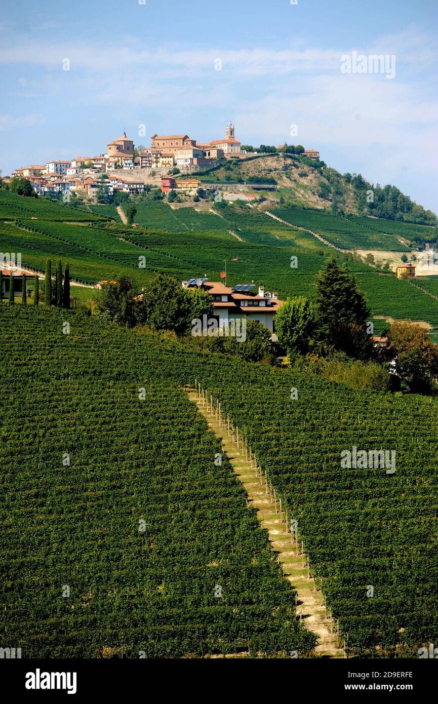 The Barolo's castle surrounded by vineyards of the famous Barolo wine ...