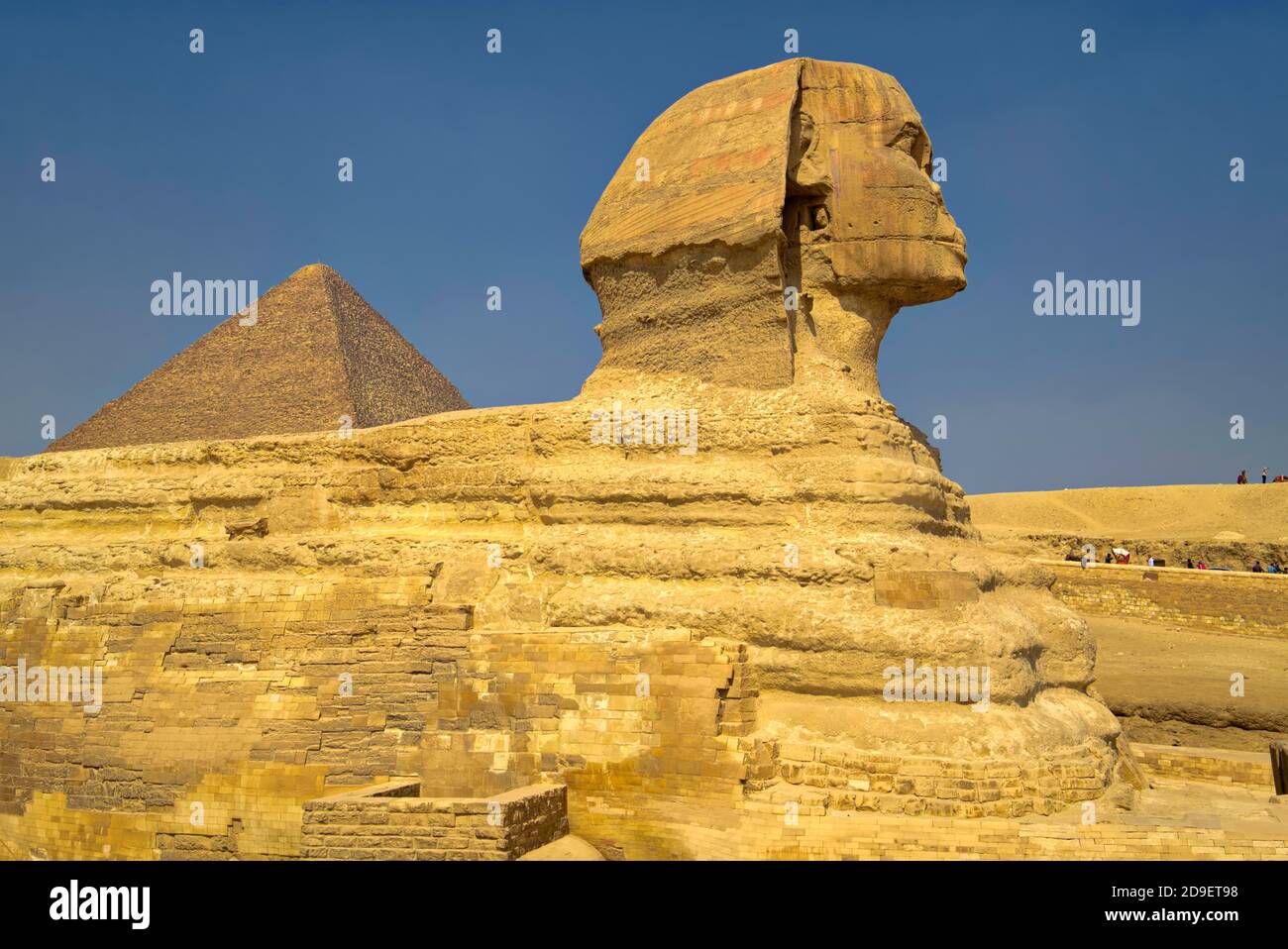 The question of who built the Sphinx has long vexed Egyptologists and ...