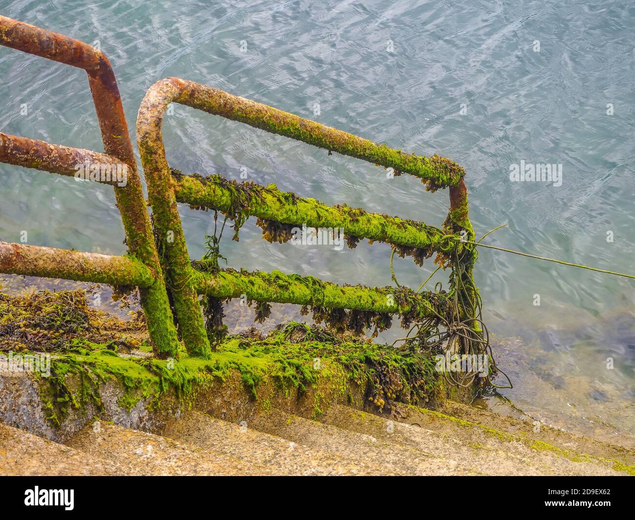 Detail of a metal fence with moss Stock Photo - Alamy
