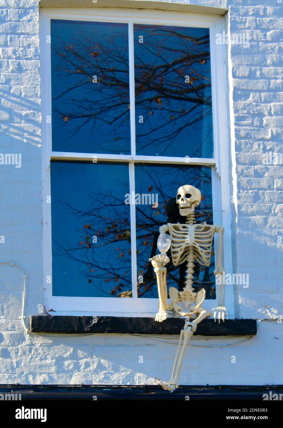 A skeleton sits on the window sill of the Park Tavern Chichester ...