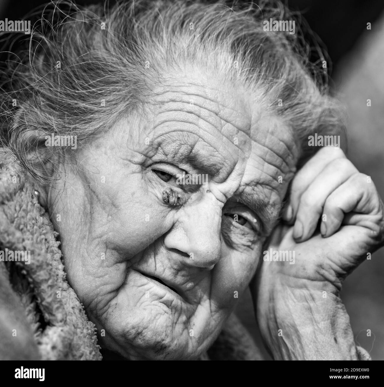 Hoary Black and White Stock Photos & Images - Alamy