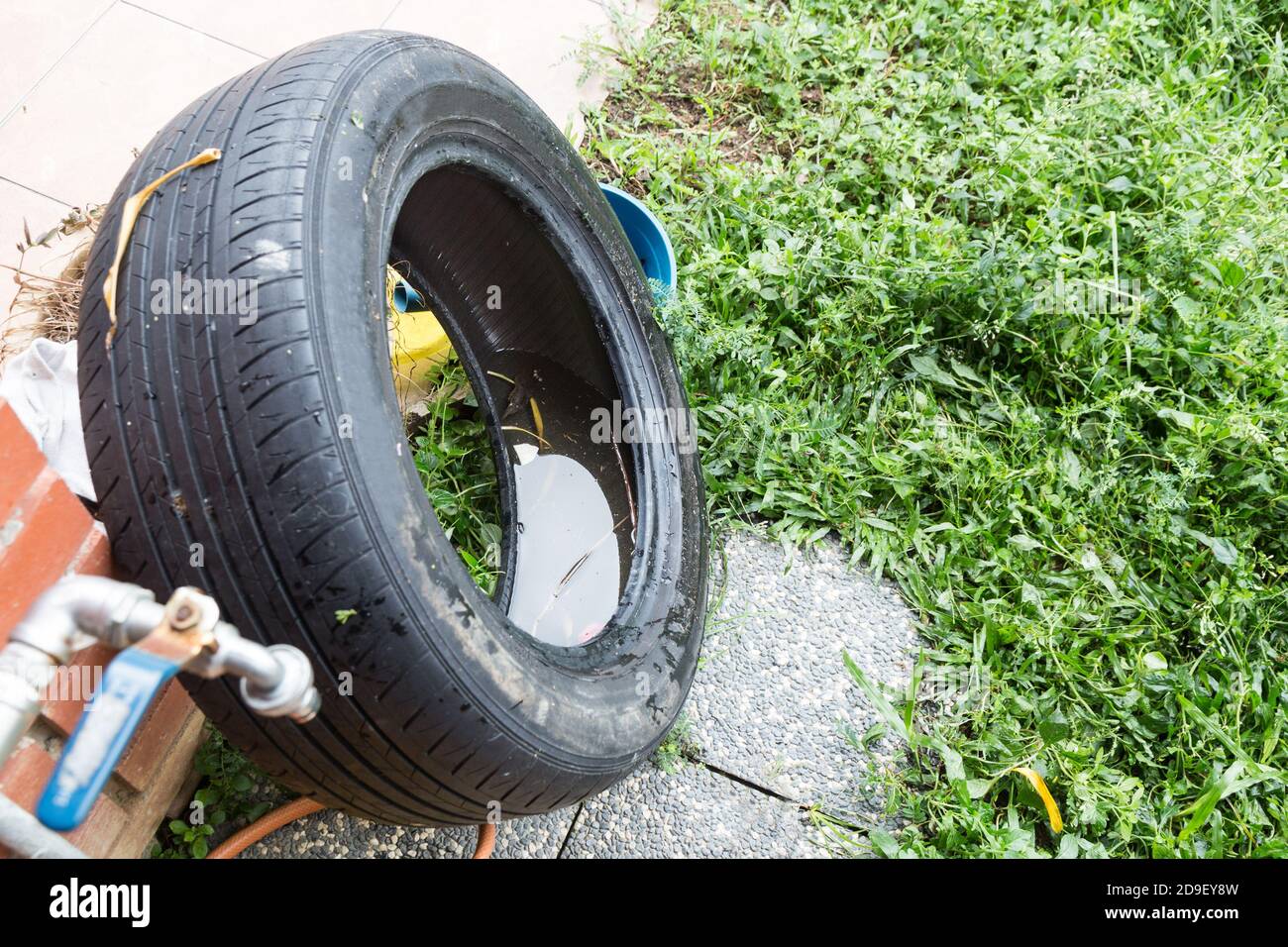 Standing water trapped in tire and containers breed mosquito Stock ...