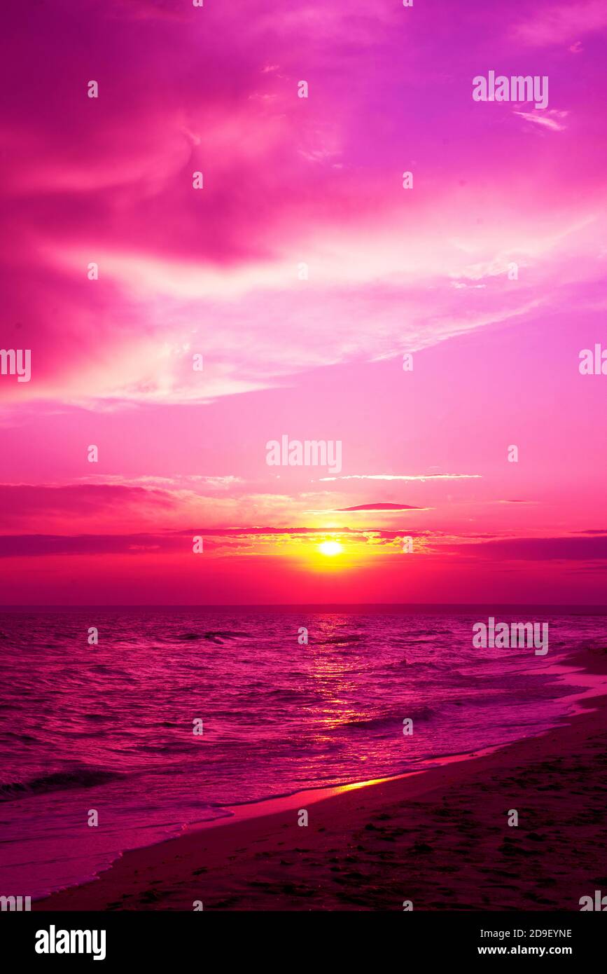 Sunset is sunny over the sea. Magenta vertical background. Fantastic ...