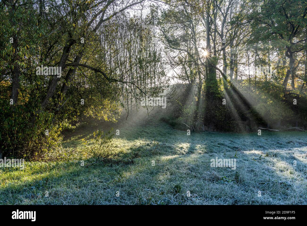 Early morning sun rays hi-res stock photography and images - Alamy