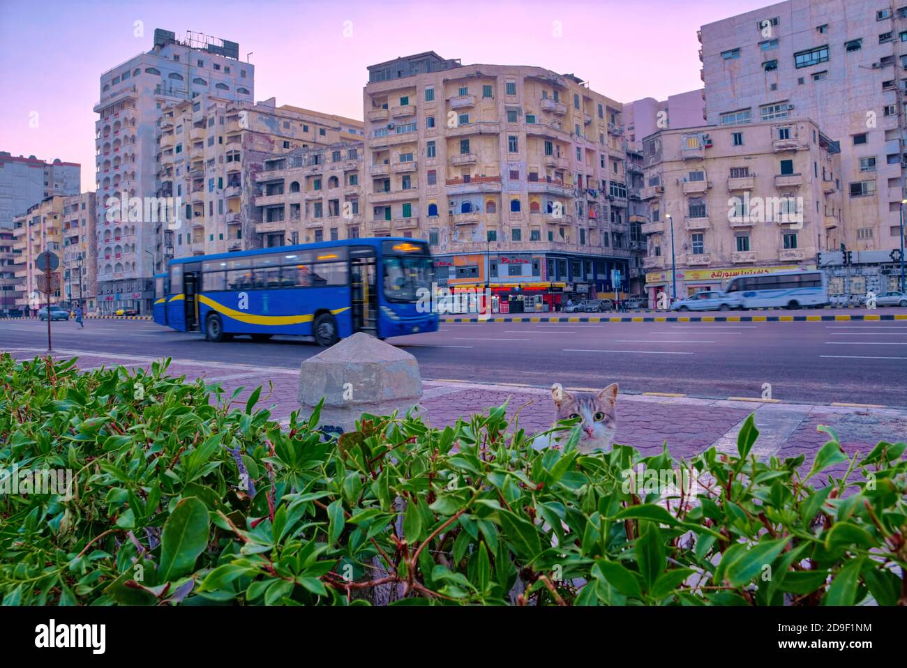 Alexandria beach, Egypt Taken @Alexandria, Egypt Stock Photo - Alamy