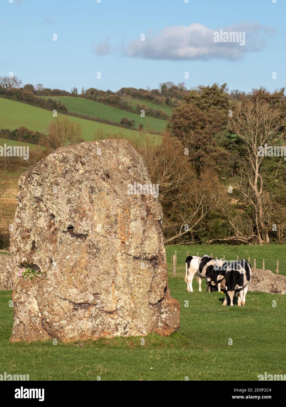 Field of Neolithic stone circle at Stanton Drew, Bristol, Somerset UK ...